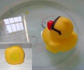 Racing Floating Yellow Duck Number Printed , Personalised Rubber Bath Ducks Weighted