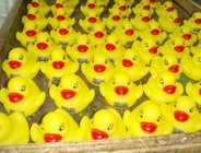 Phthalate Free Cute Baby Rubber Duck Decorated Floating For Baby Shower Water Resistant